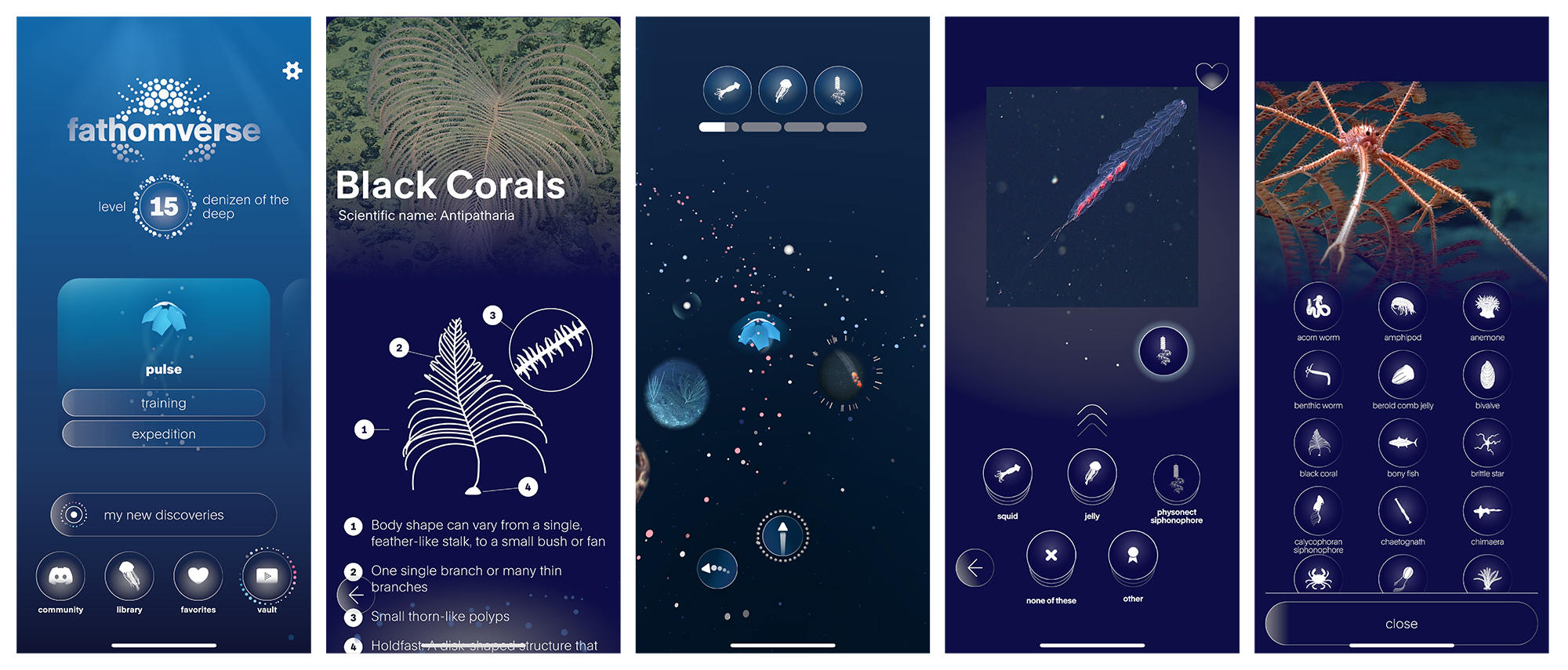 Inspiring a new wave of ocean explorers — MBARI Annual Report: 2024